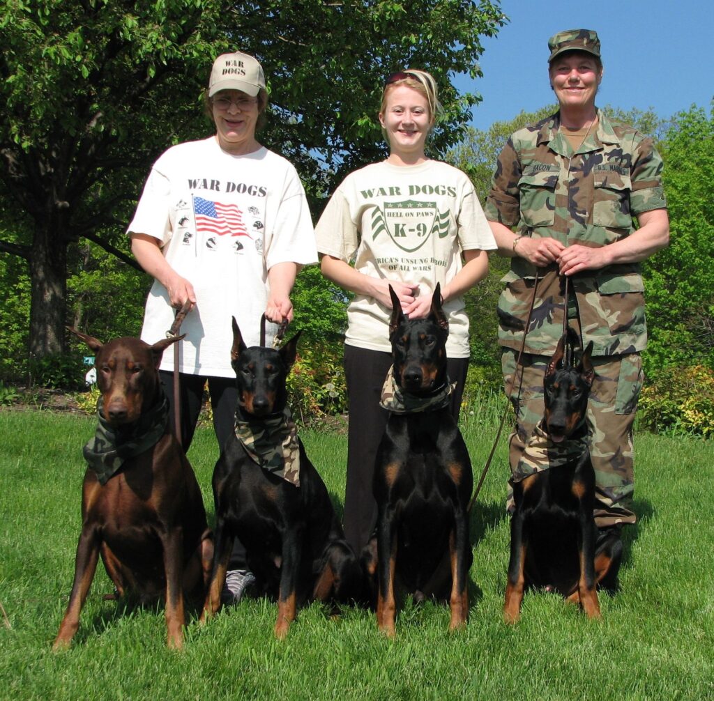 European Doberman Pinschers